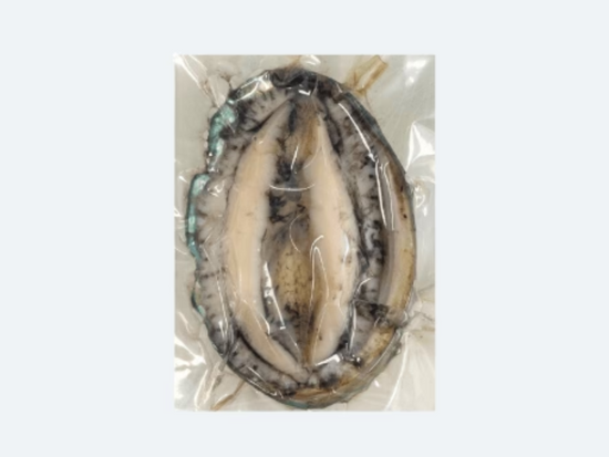 Frozen Abalone – Yama Seafood