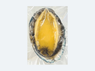 Frozen Abalone – Yama Seafood