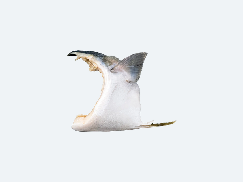 Fish Collars – Yama Seafood