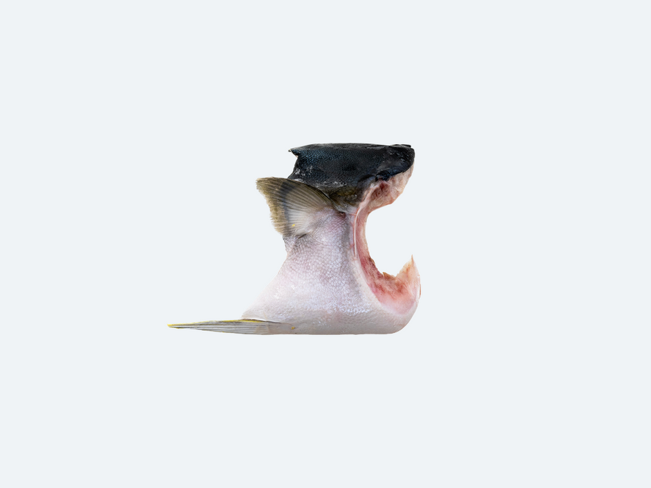 Fish Collars – Yama Seafood