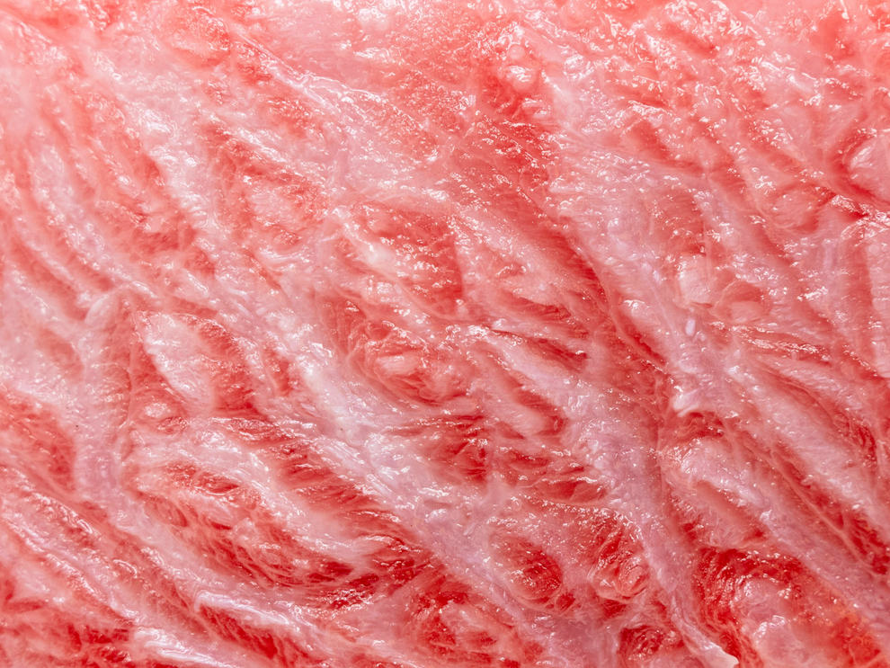 Bluefin Tuna Kama Toro – Yama Seafood