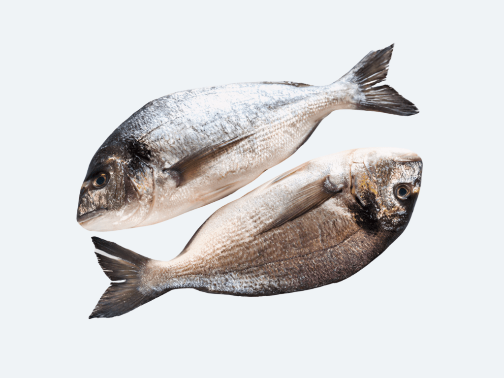 Greek Orata (Whole Fish) – Yama Seafood