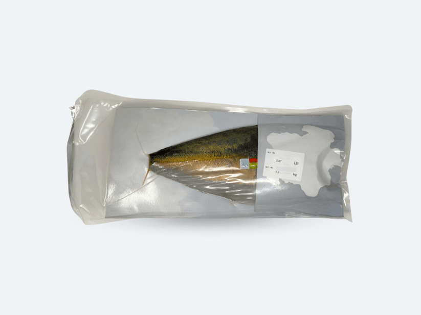 Japanese Kanpachi (Amberjack), Fillet – Yama Seafood