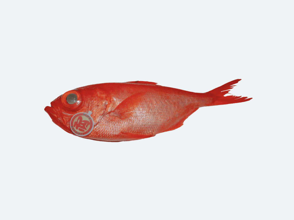 Kinmedai (Alfonsino) – Yama Seafood